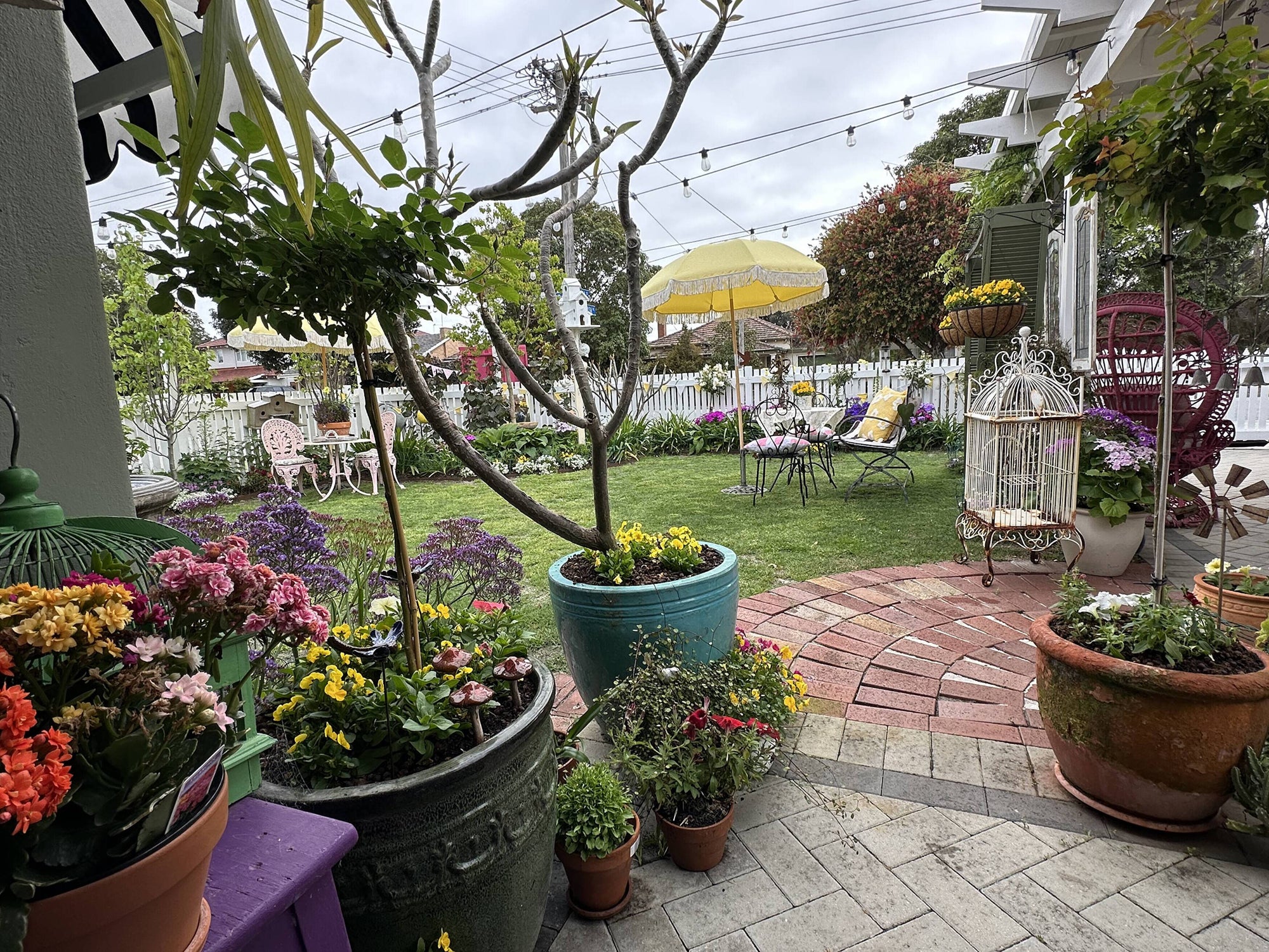 Best Scones in Perth! | Heritage Home Devonshire Tea House