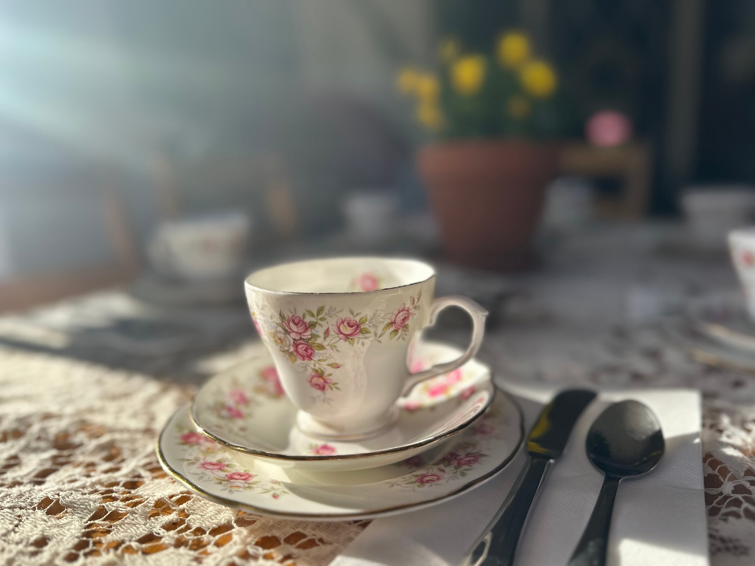 Best Scones in Perth! | Heritage Home Devonshire Tea House