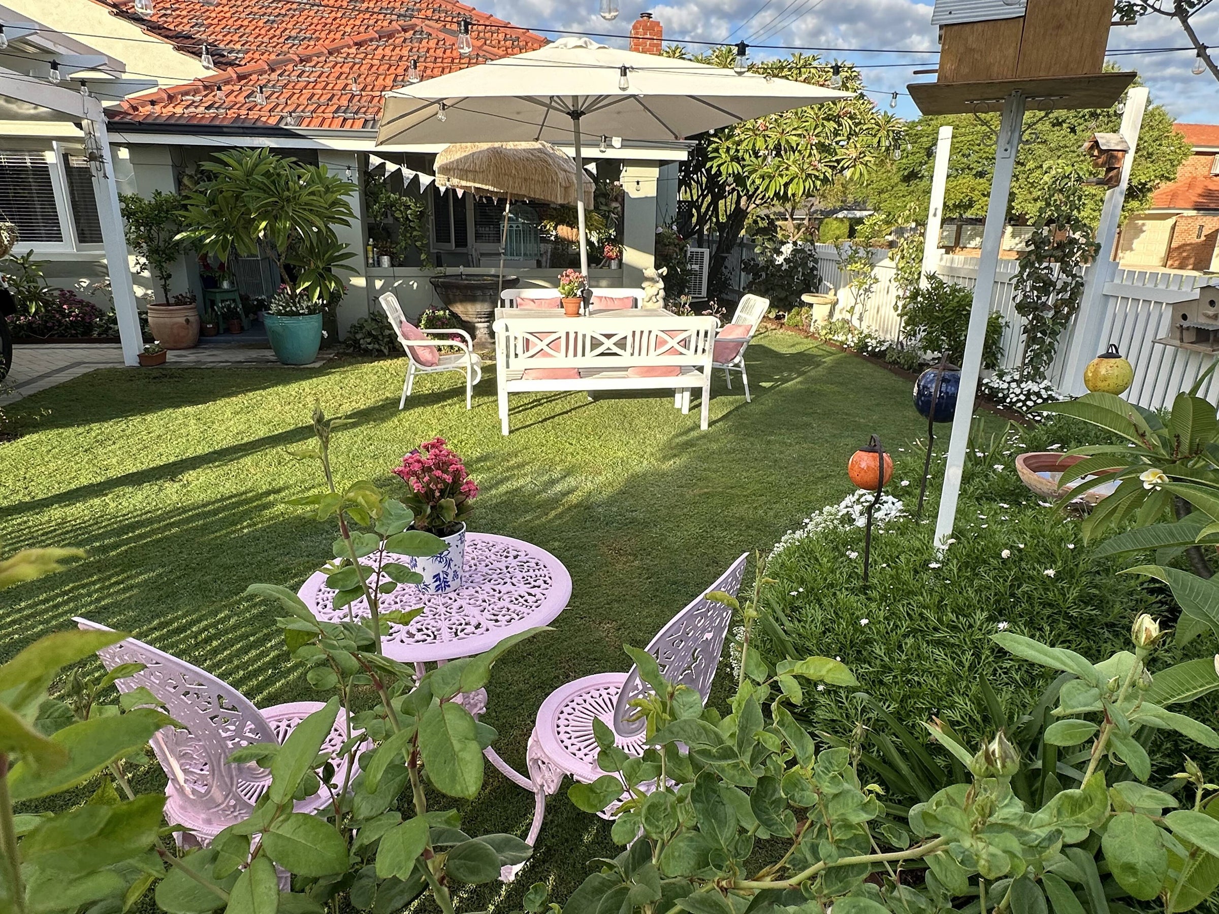 Best Scones in Perth! | Heritage Home Devonshire Tea House