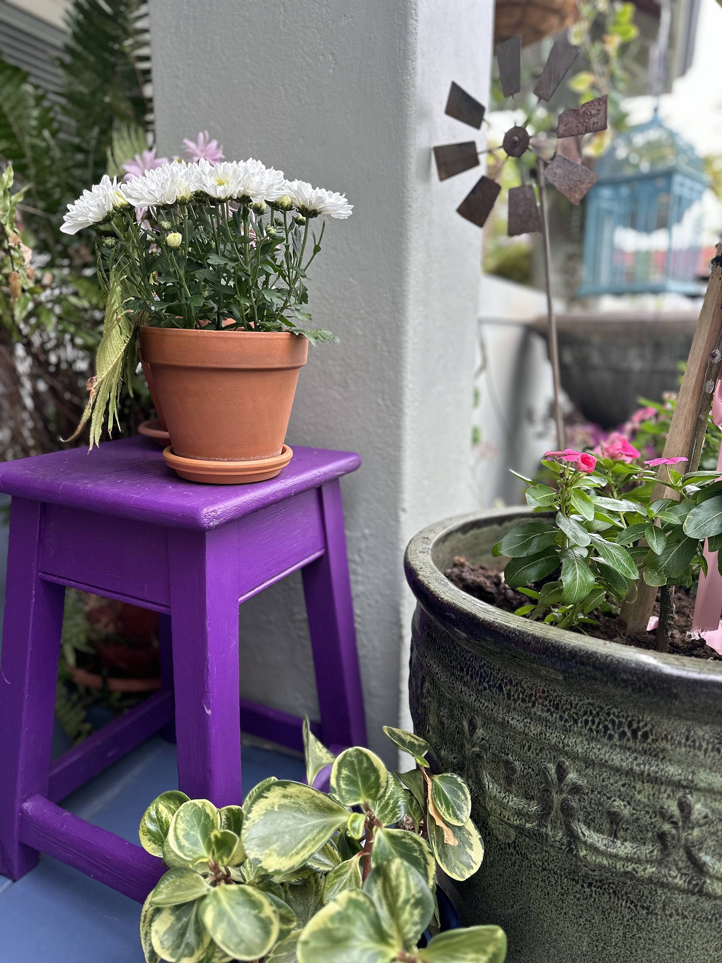 Best Scones in Perth! | Heritage Home Devonshire Tea House