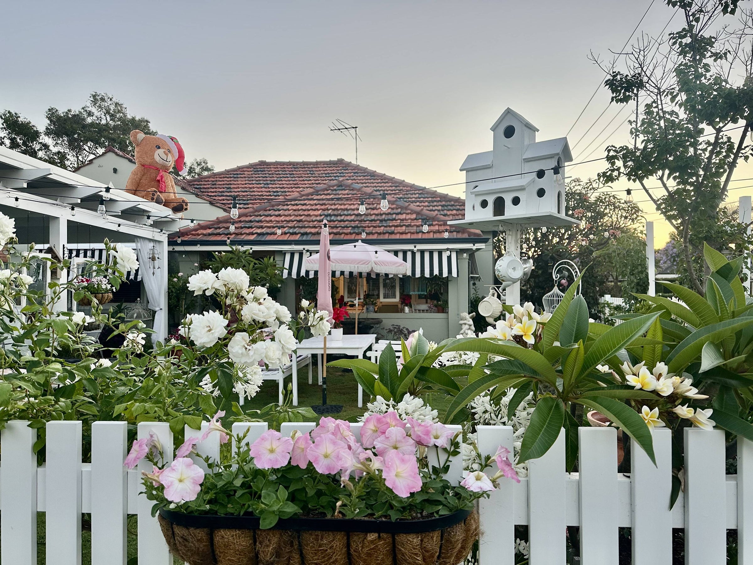 Best Scones in Perth! | Heritage Home Devonshire Tea House