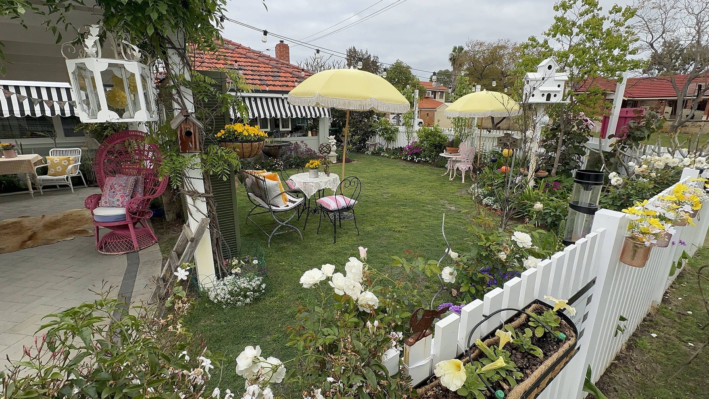 Best Scones in Perth! | Heritage Home Devonshire Tea House